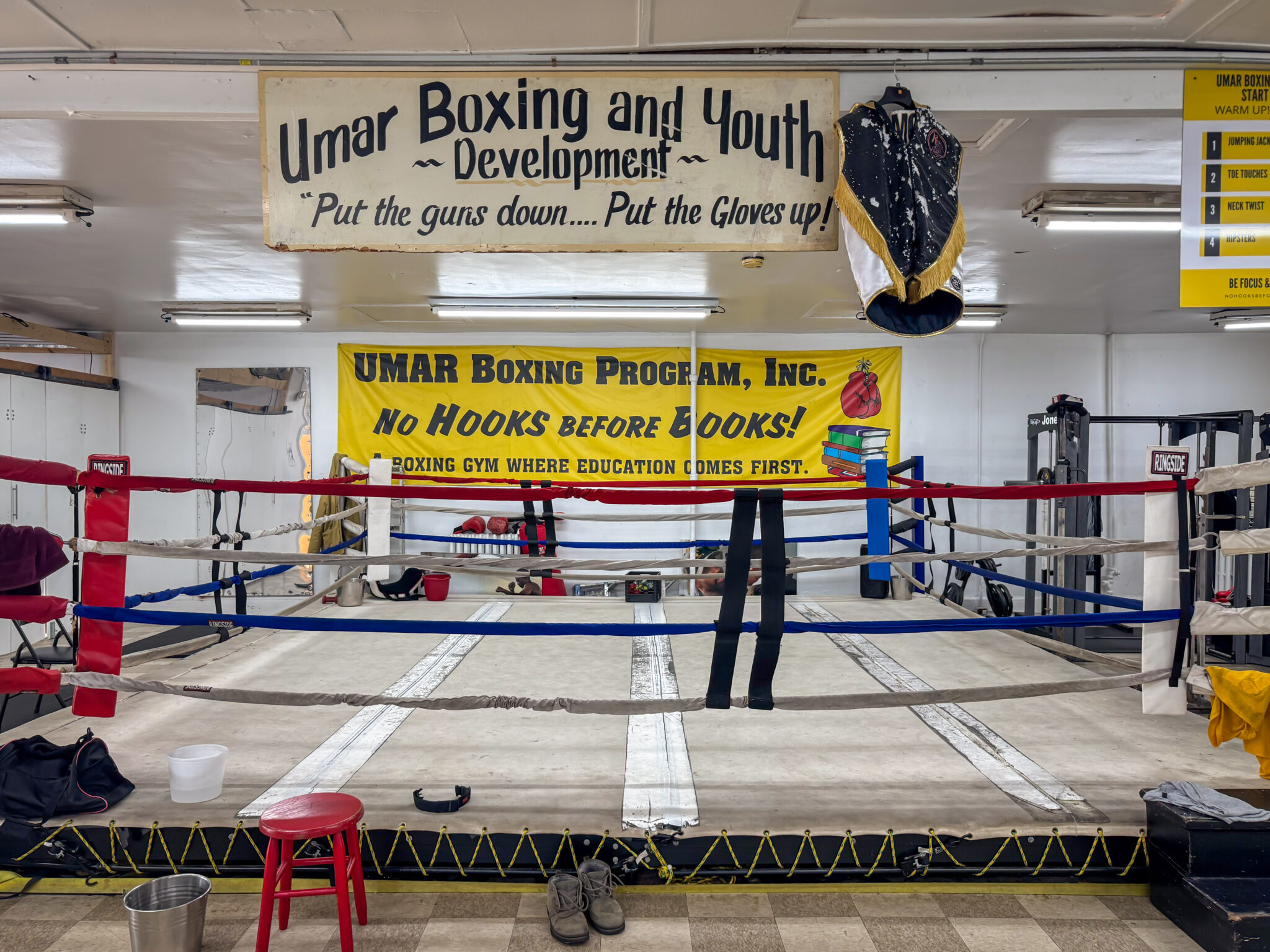 W North Ave & Druid Hill-McCulloh Traffic Calming Art